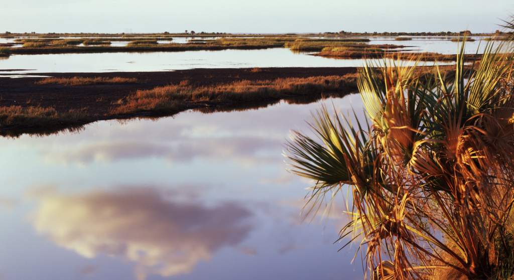 About Us - Sawgrass Asset Management