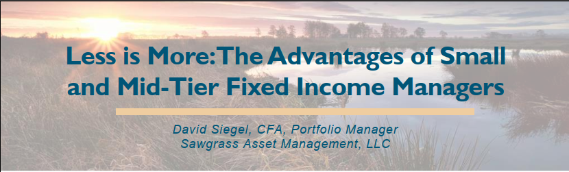 The Advantages of Small and Mid-Sized Fixed Income Managers - Sawgrass ...